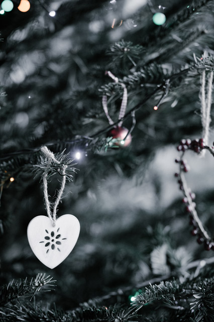 Devotions for Christmas, Part 5: Why the Humanity of Jesus Matters So ...