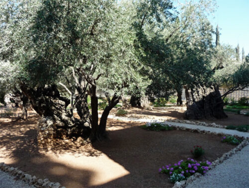 Sometimes Jesus Did Not Want to Pray Alone - De Pree Center